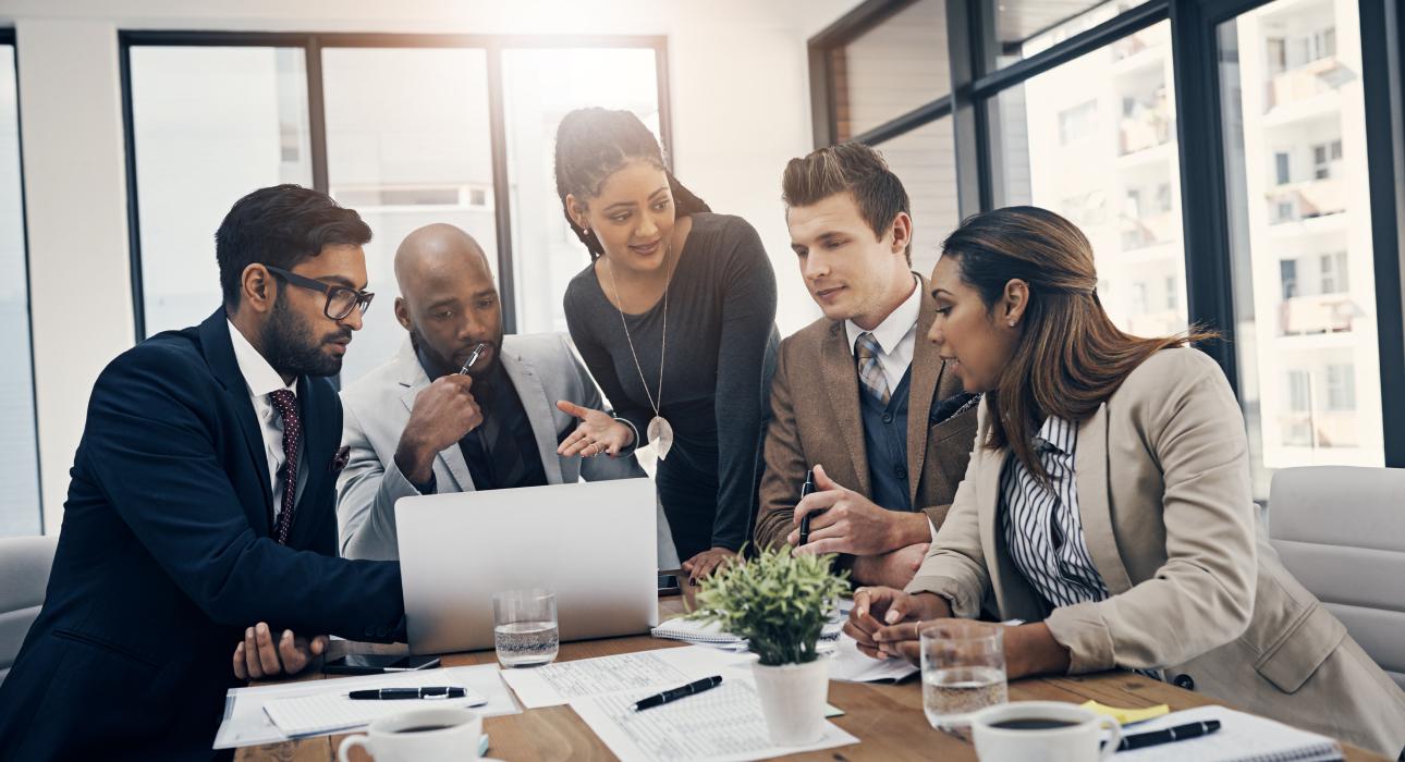 Contact Us - Maple Leaf